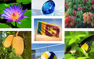 National symbols of Sri Lanka with images & their meanings